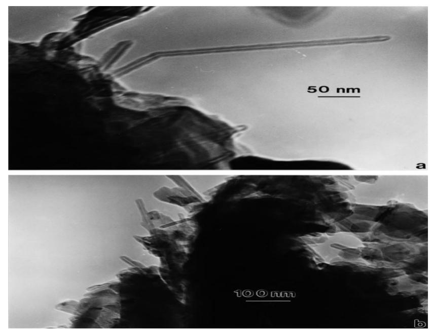 (a) and (b) show transmission electron microscope examples