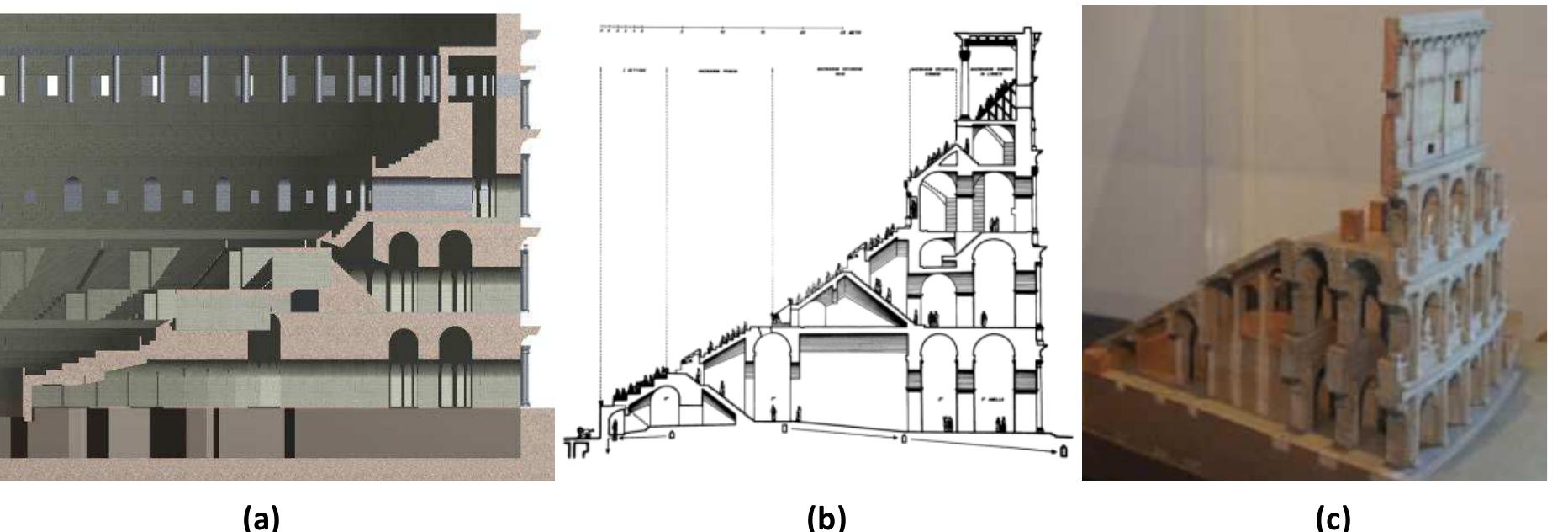 A series of cross-sections comparing the colosseum model to