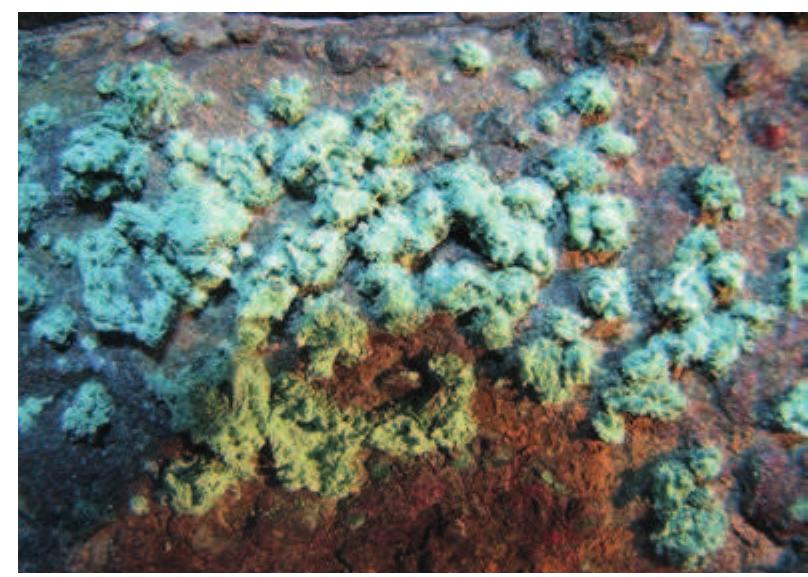 There is no problem in excavation of bronzes with noble