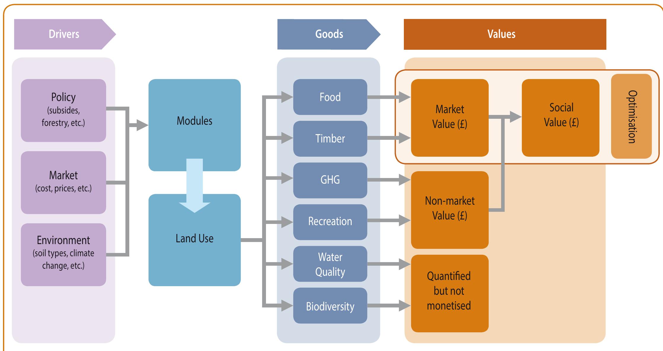 The integrated land use model (tim): a schematic overview