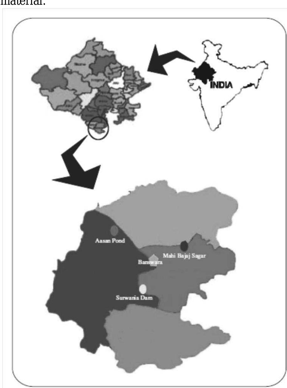 The scales measurements comprised of radius of scale and