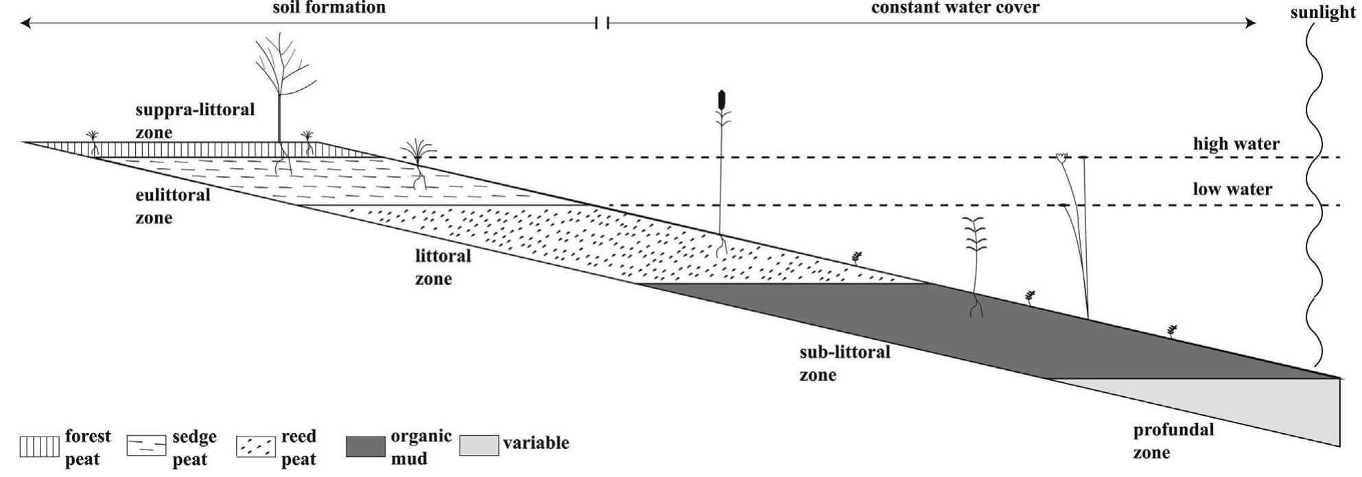 Simplified schematic sedimentary sequence at lake margins