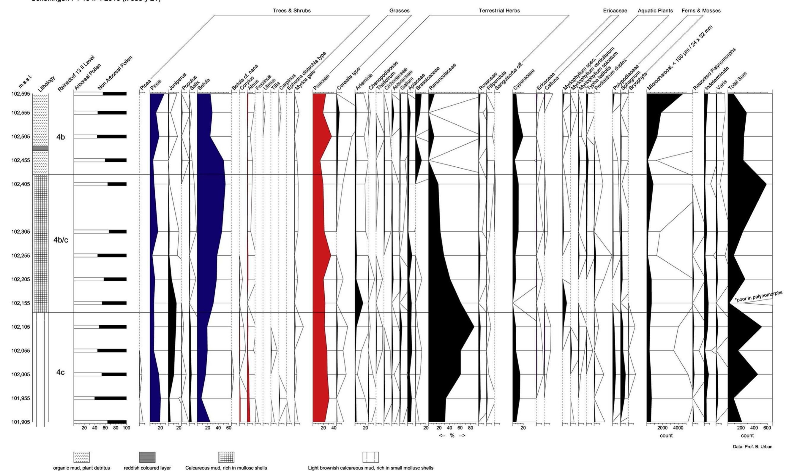 Pollen diagram of schoningen 13 ii-4 2010 (x 683, y 21). the