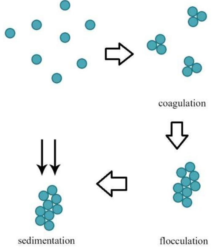 : coagulation, flocculation and sedimentation source