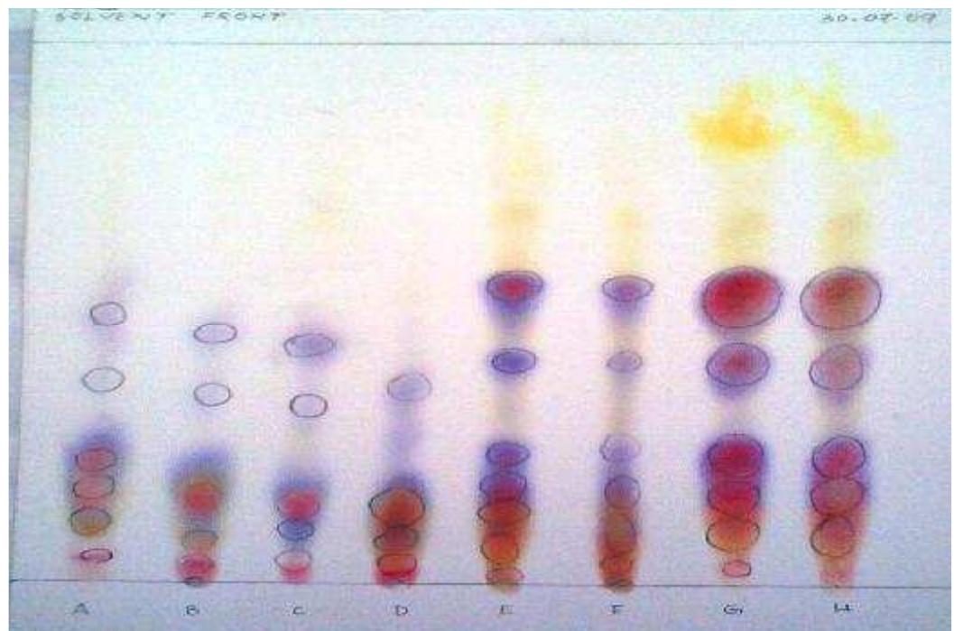 Showing different free amino acids composition of pollen of