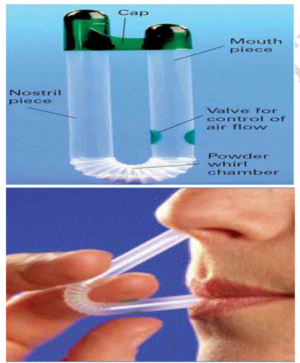 Schematic presentation of direct haler™ nasal device and its