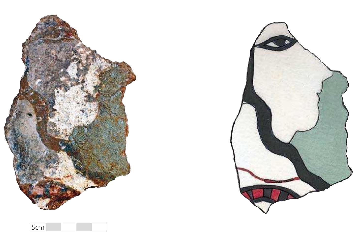 Female face, fragment 1. photo and reconstruction s.