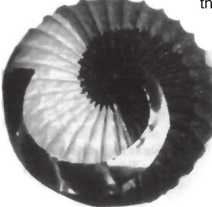 -1. the colorful tube torus. let’s look at the first object