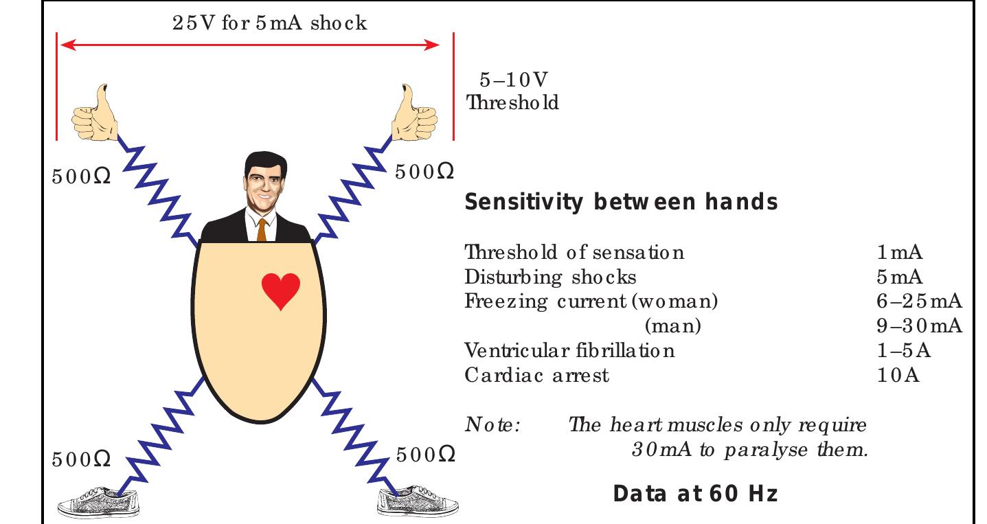 Sensitivity of human body to electrical currents it is