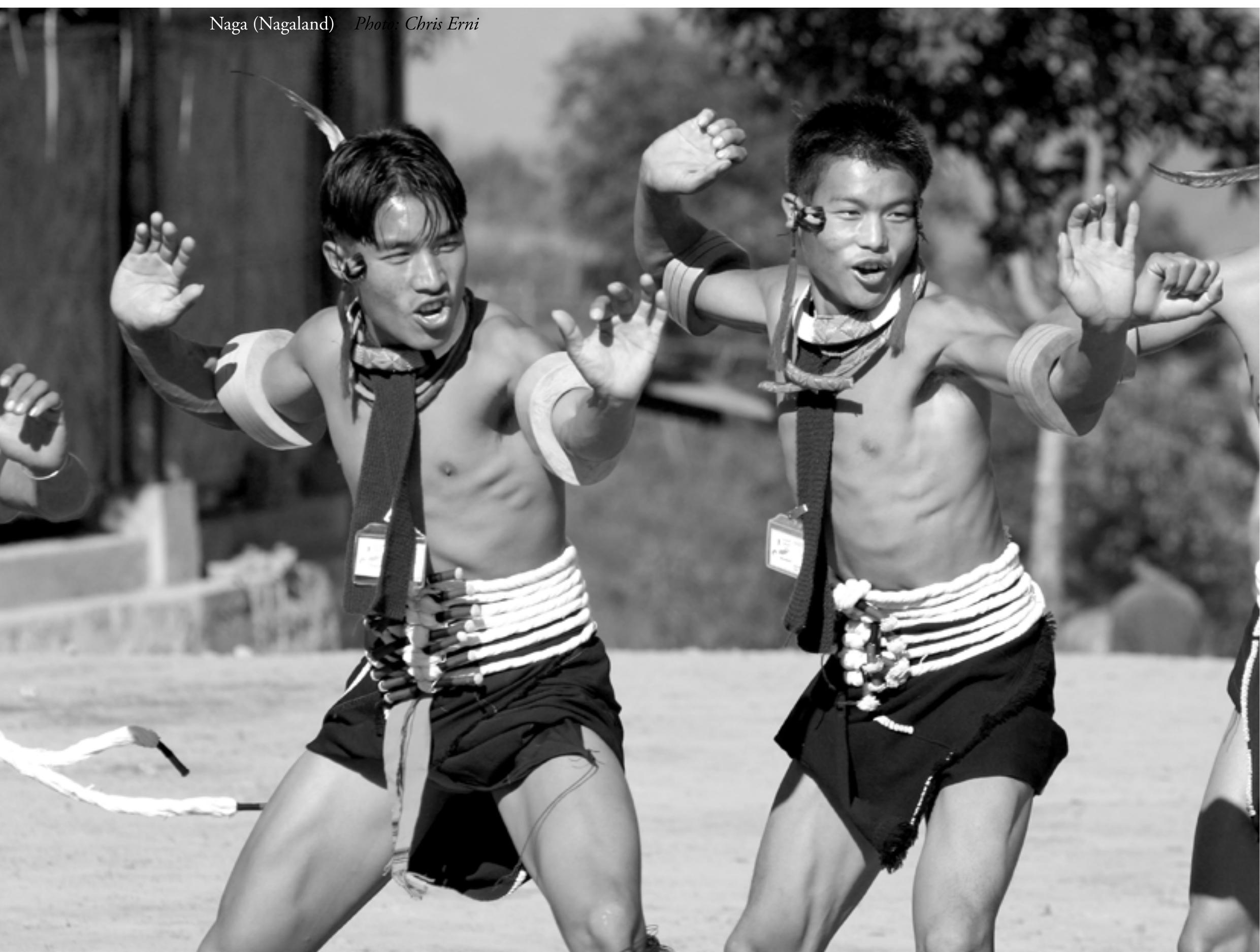 Figure 32 - from INDIA AND THE RIGHTS OF INDIGENOUS PEOPLES