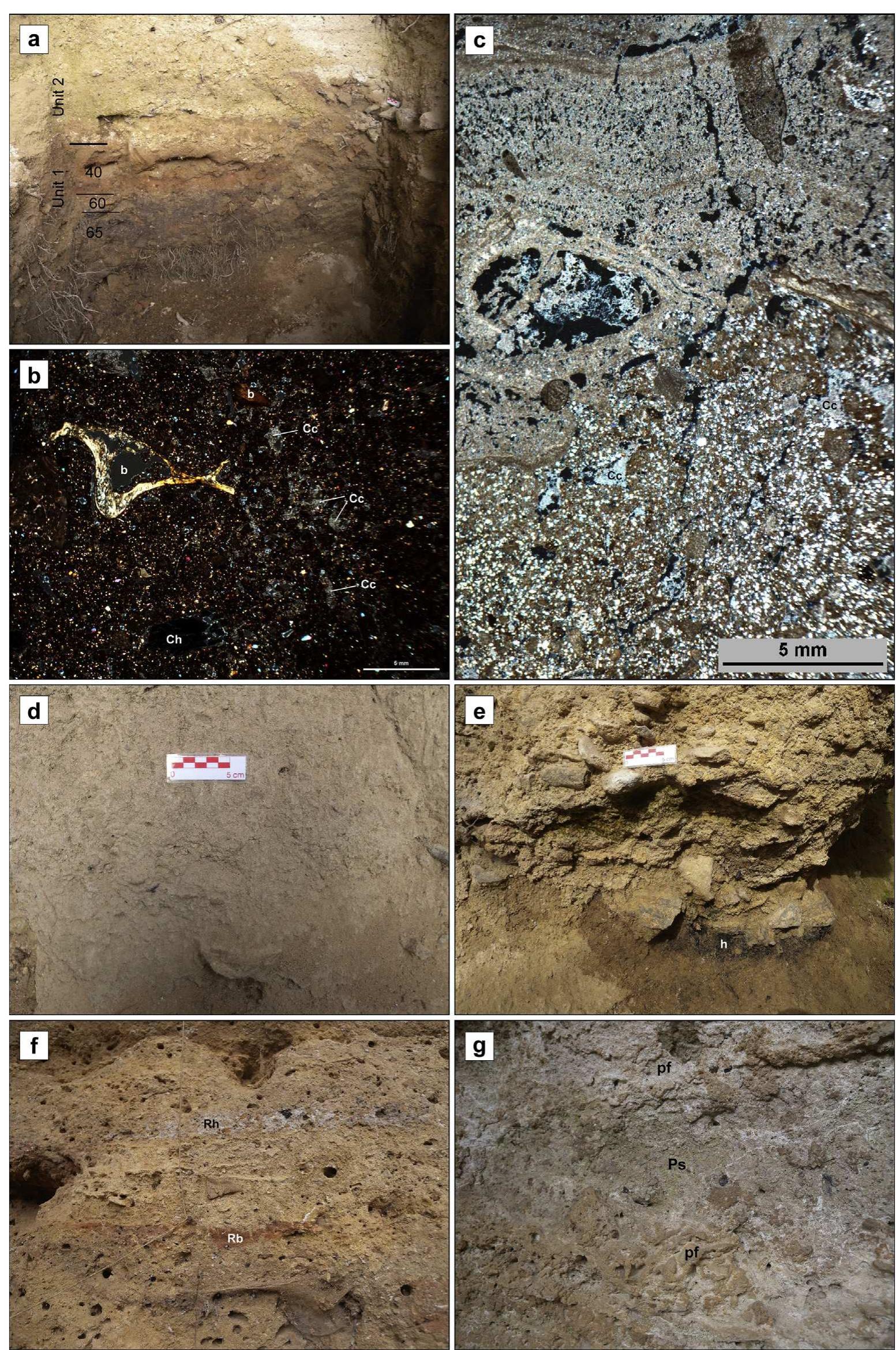 Main stratigraphic and sedimentary features of the