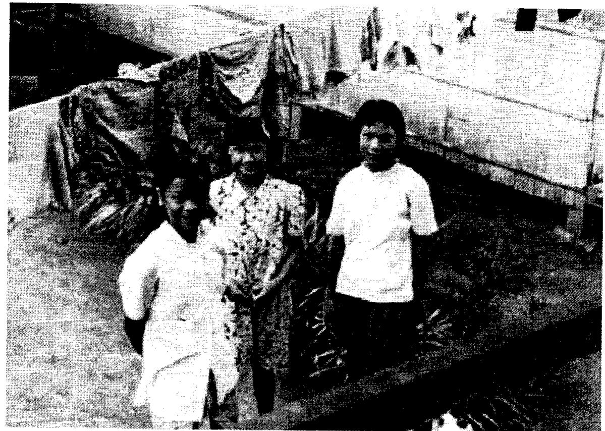 Figure 2 - from “Dressing the lúmad body: indigenous peoples