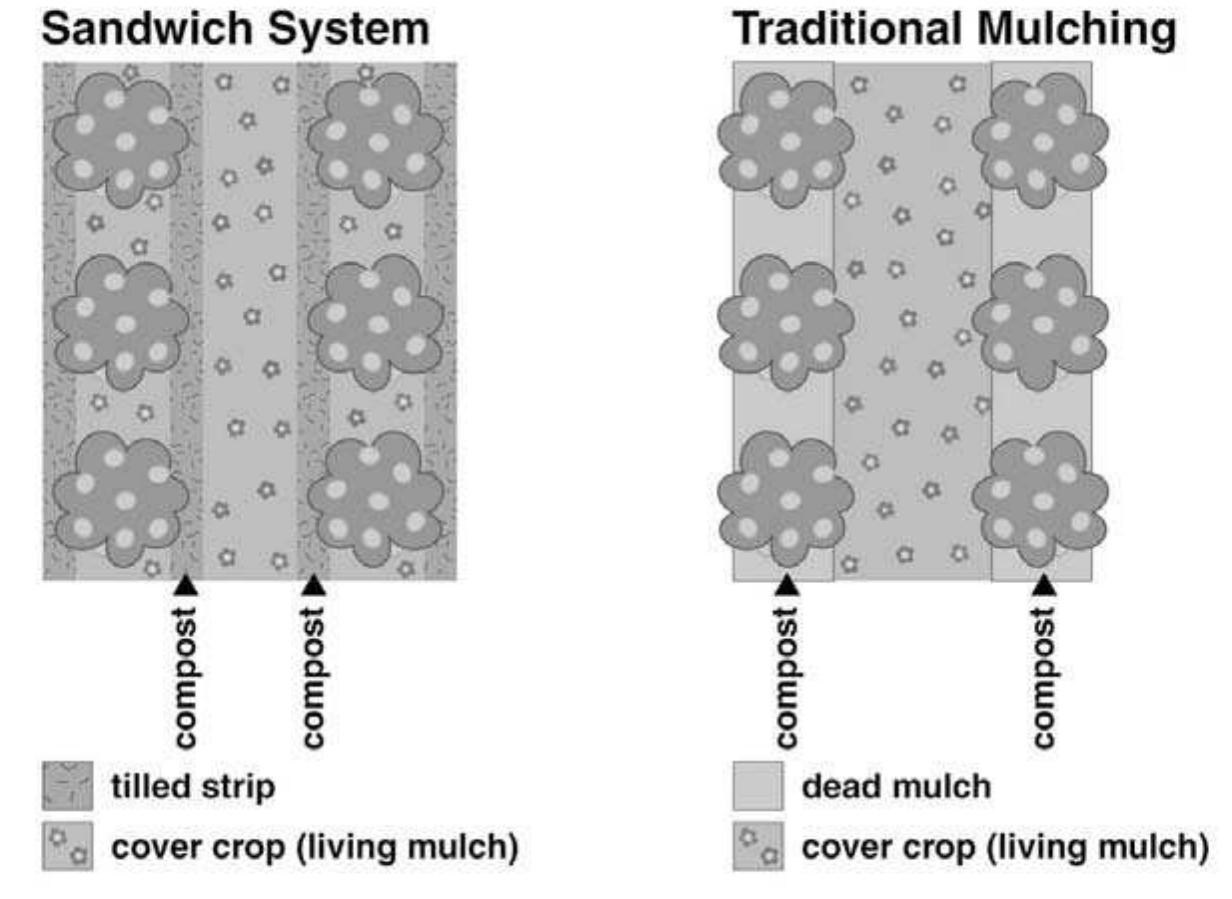 Chart 3: the fibl sandwich system