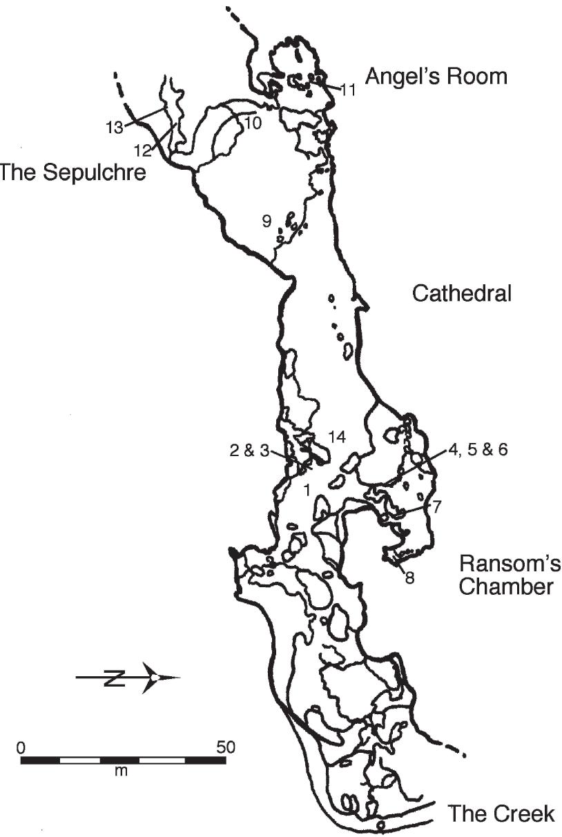 Figure 3 - The Creation and Sacrifice of Witches in Classic