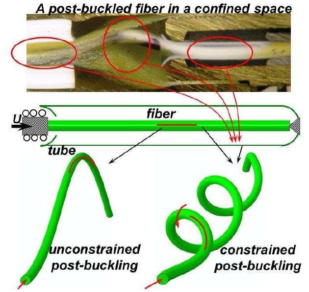 Example of a fiber post-buckling response in optical