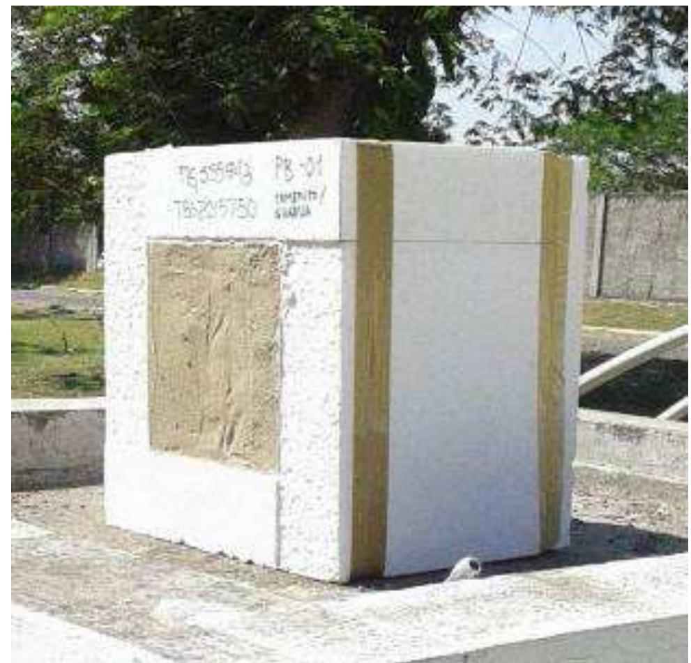 Module built of each sample and styrofoam plates oriented