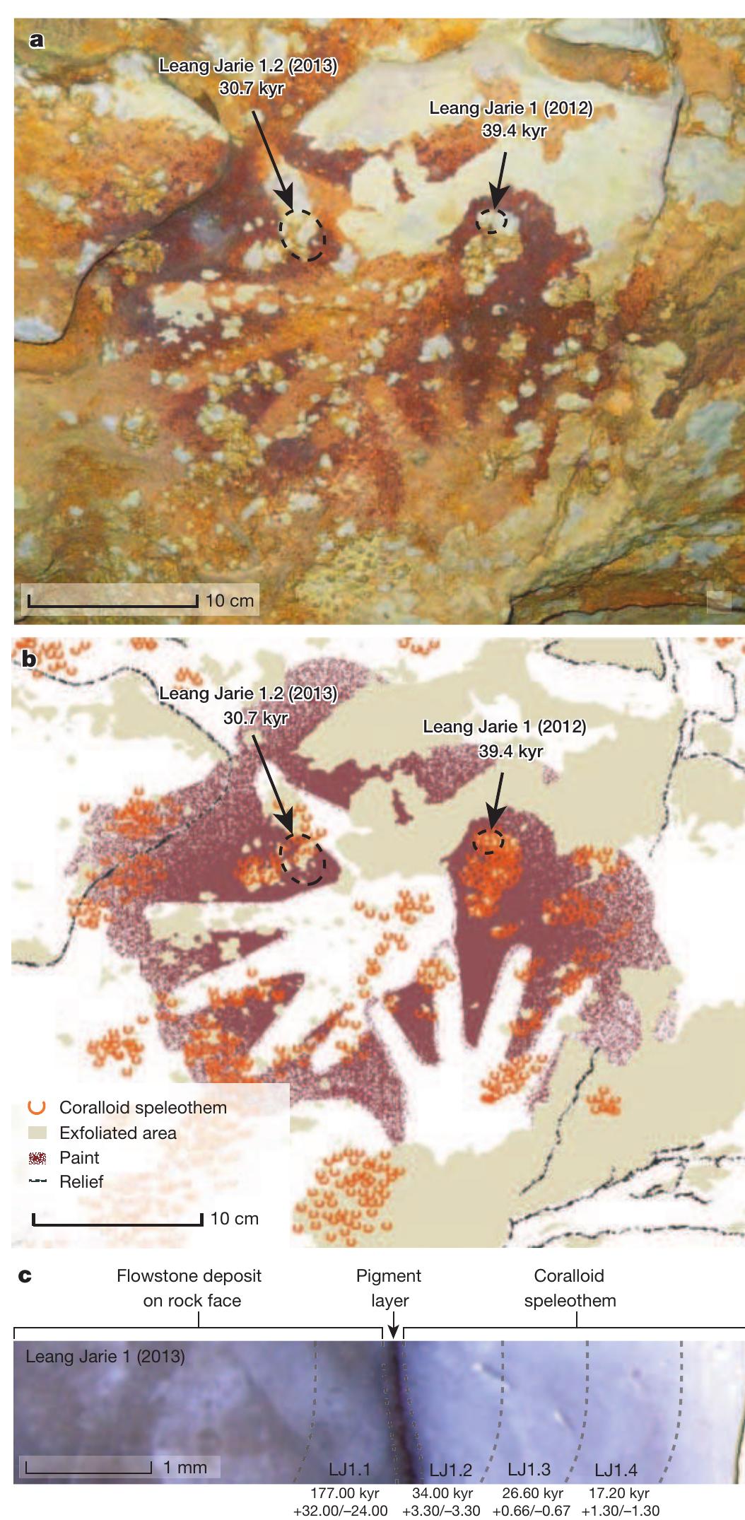 Figure 4 - Pleistocene cave art from Sulawesi, Indonesia