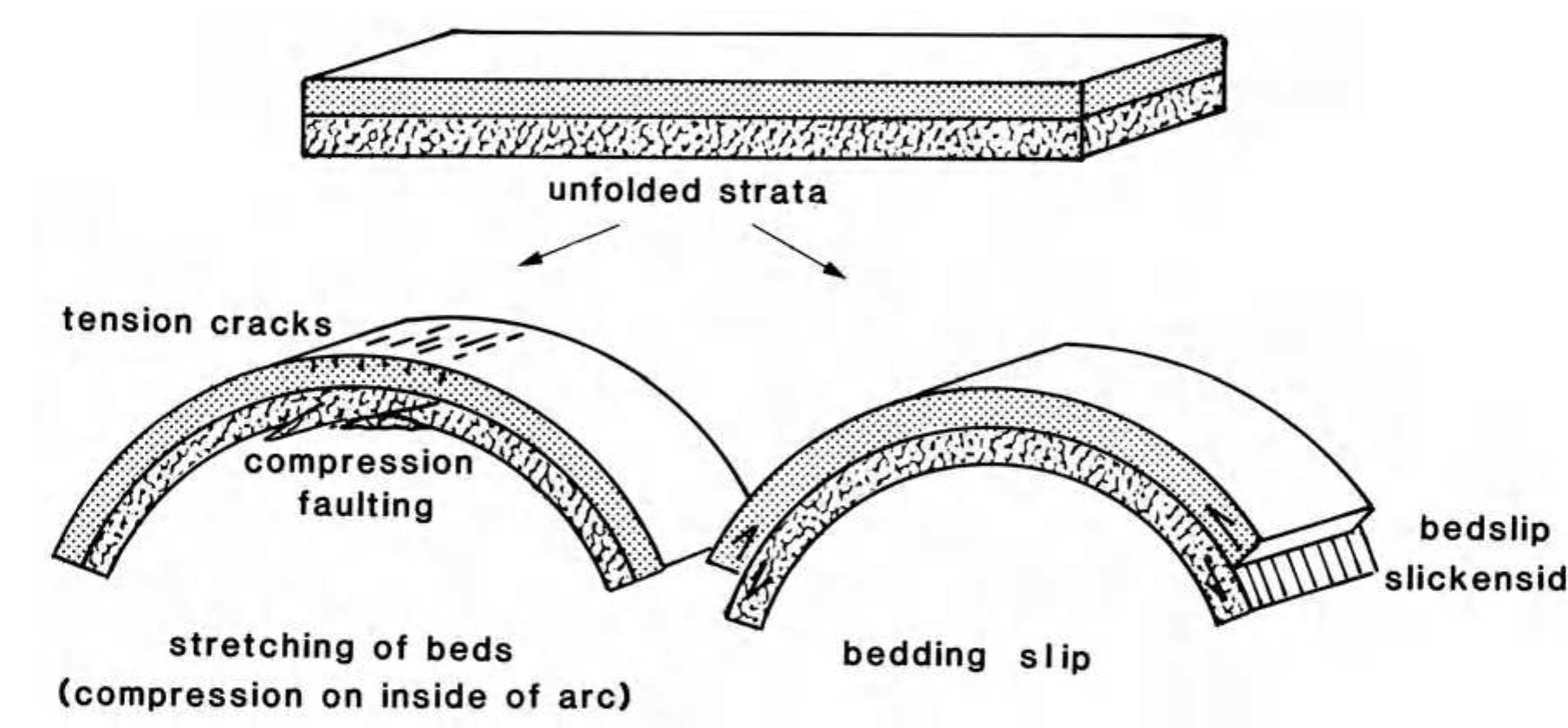 (PDF) An Introduction to Geological Structures and Maps