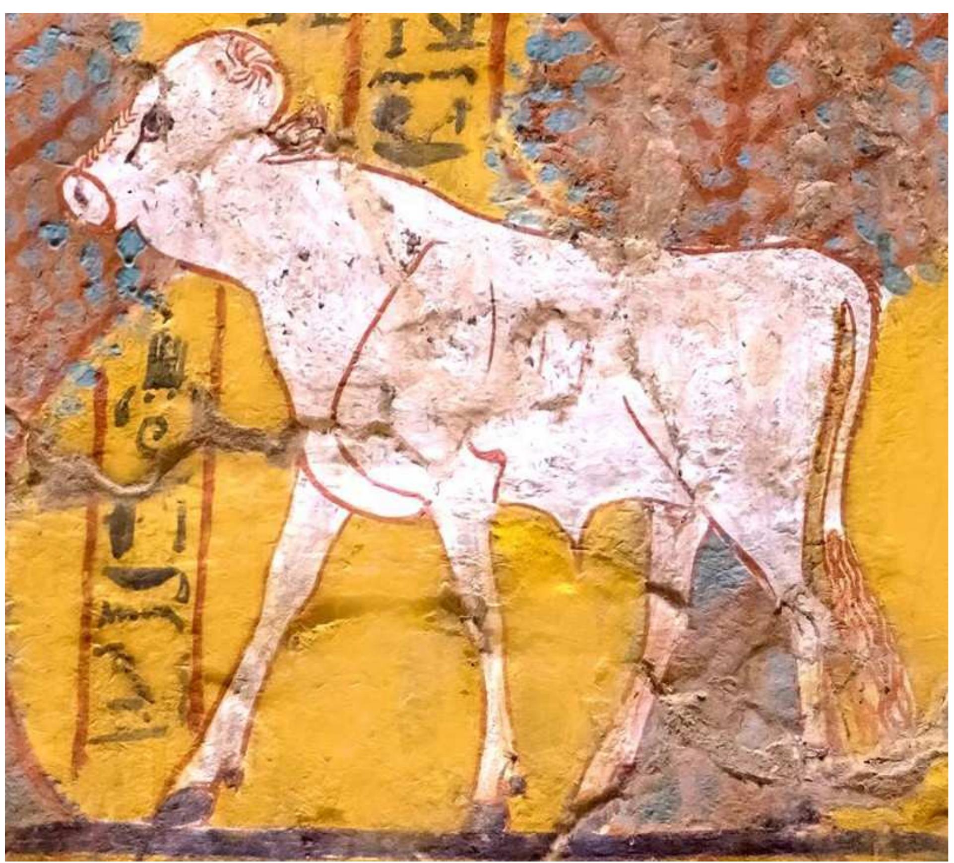 (PDF) The God Ra: Iconography