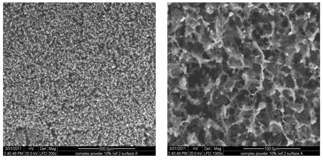 Sem photographies surface a, of sample a 1, sponge conc.