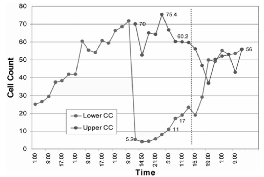 Cell counts for upper and lower fermentations in a