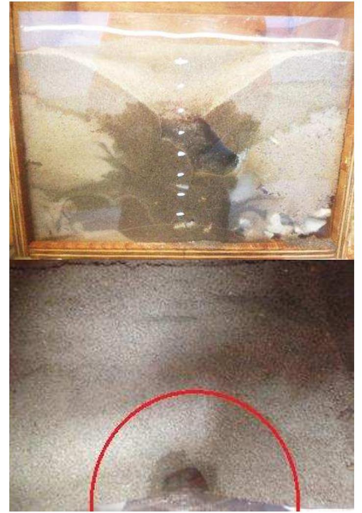 Shows the cavity created and the circular shaped opening of