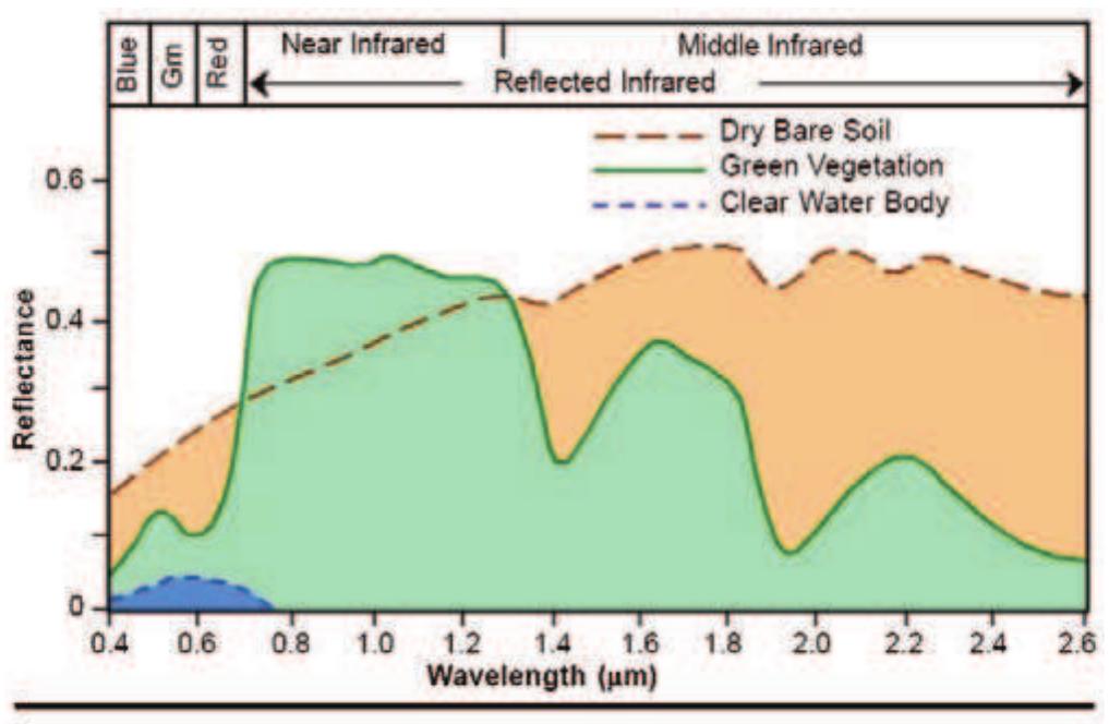 The spectral reflectance signature illustrates a dramatic