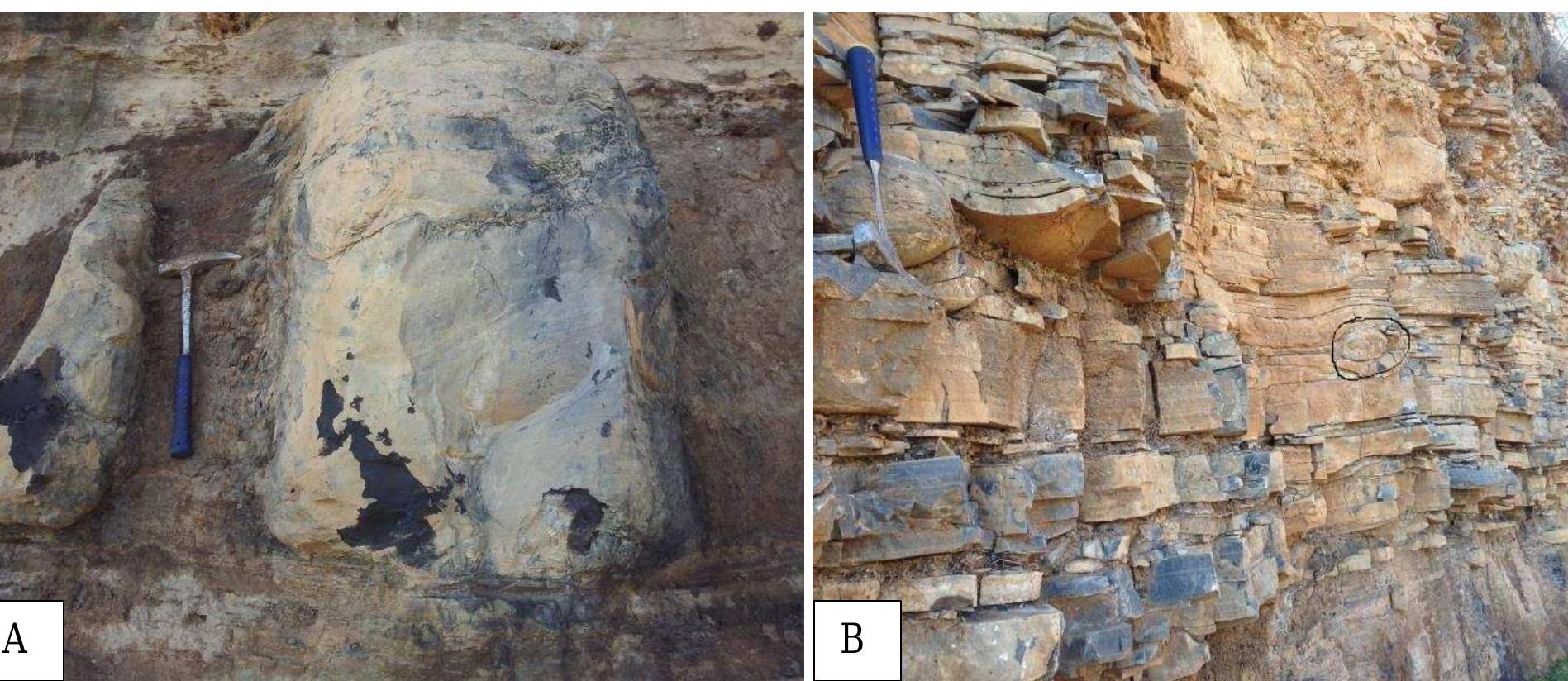 12 field photo of: a: slumping structure in the lower part