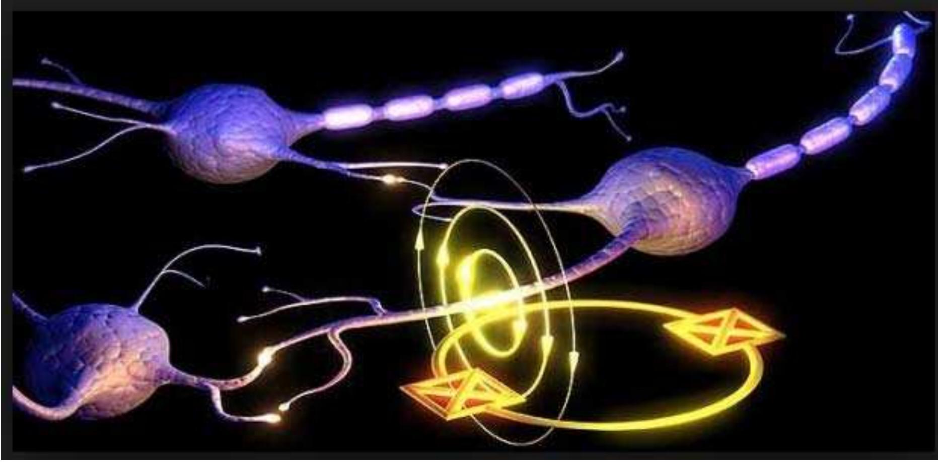 (PDF) A Real-Time Magnetoencephalography Brain-Computer Interface Using ...