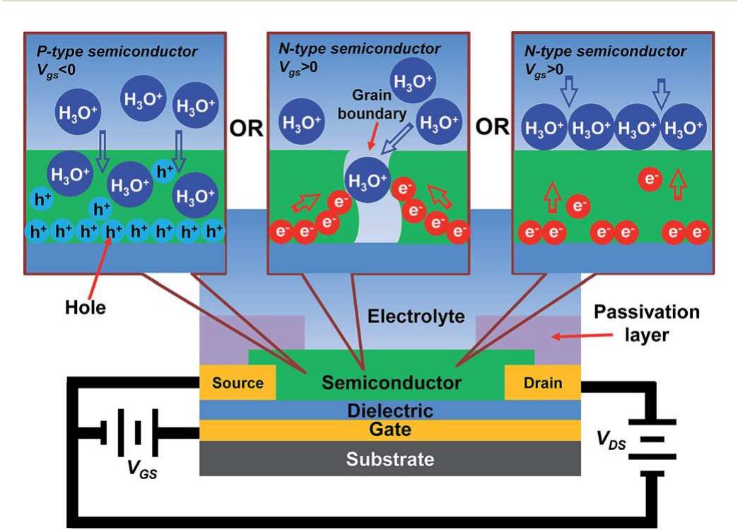 Schematic of a ph sensor in fet structure and its possible