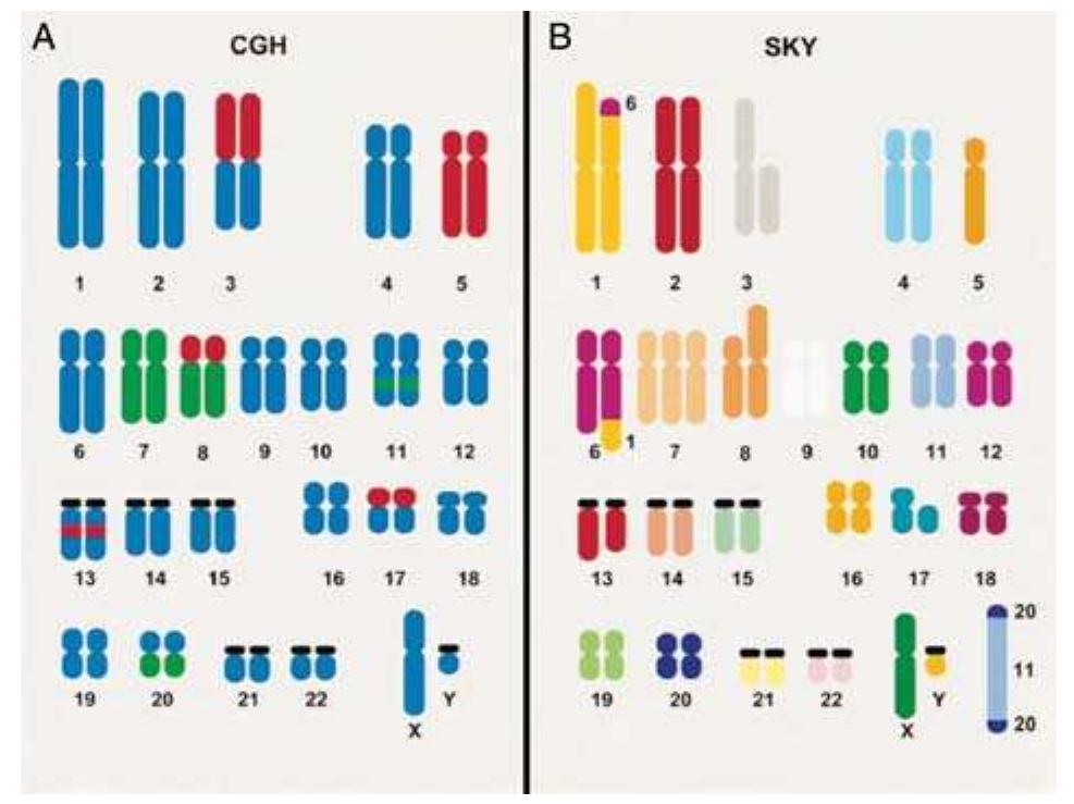 Schematic presentation of cgh (a) and sky (b). both