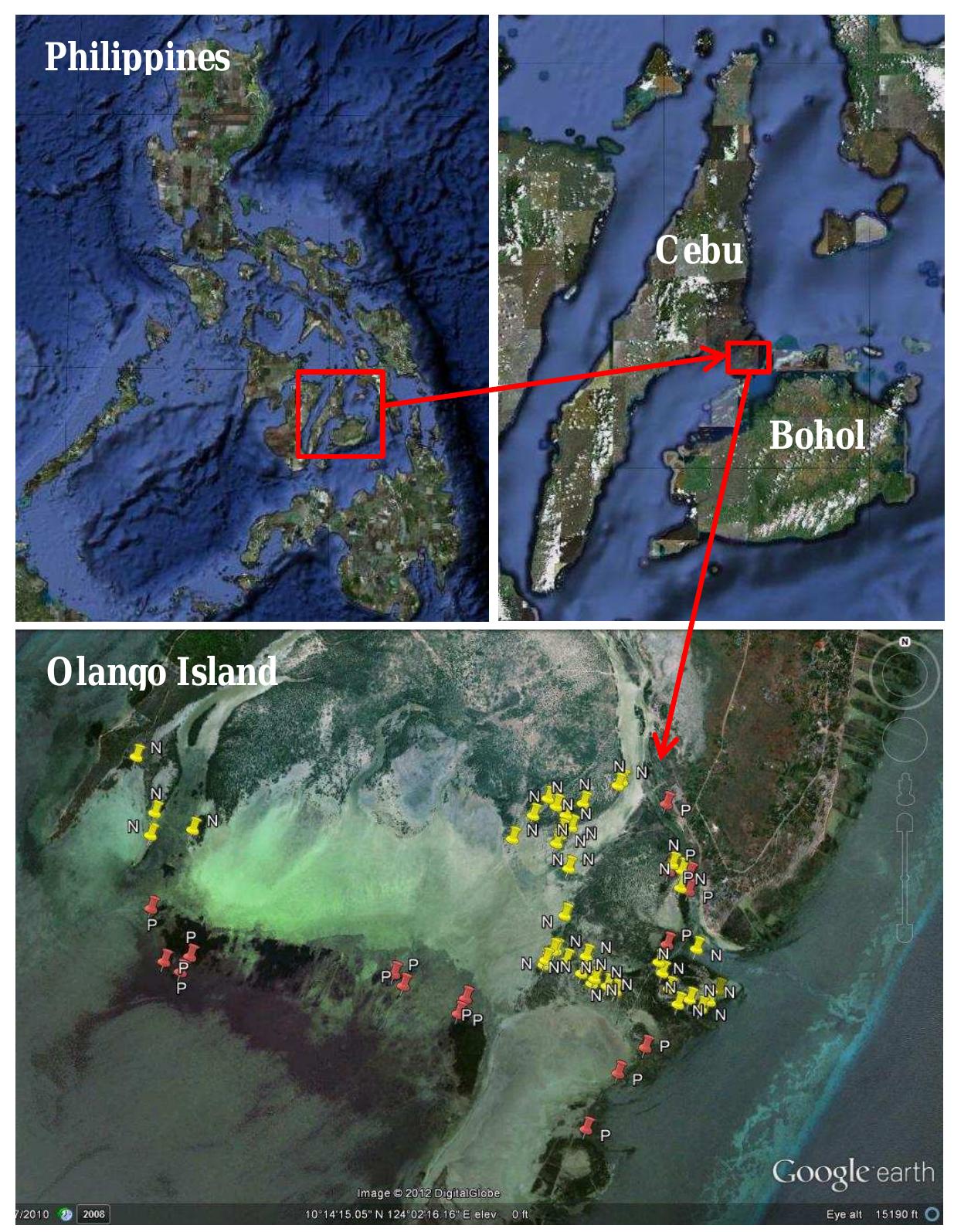 Map showing the philippines, central visayas and olanaqo