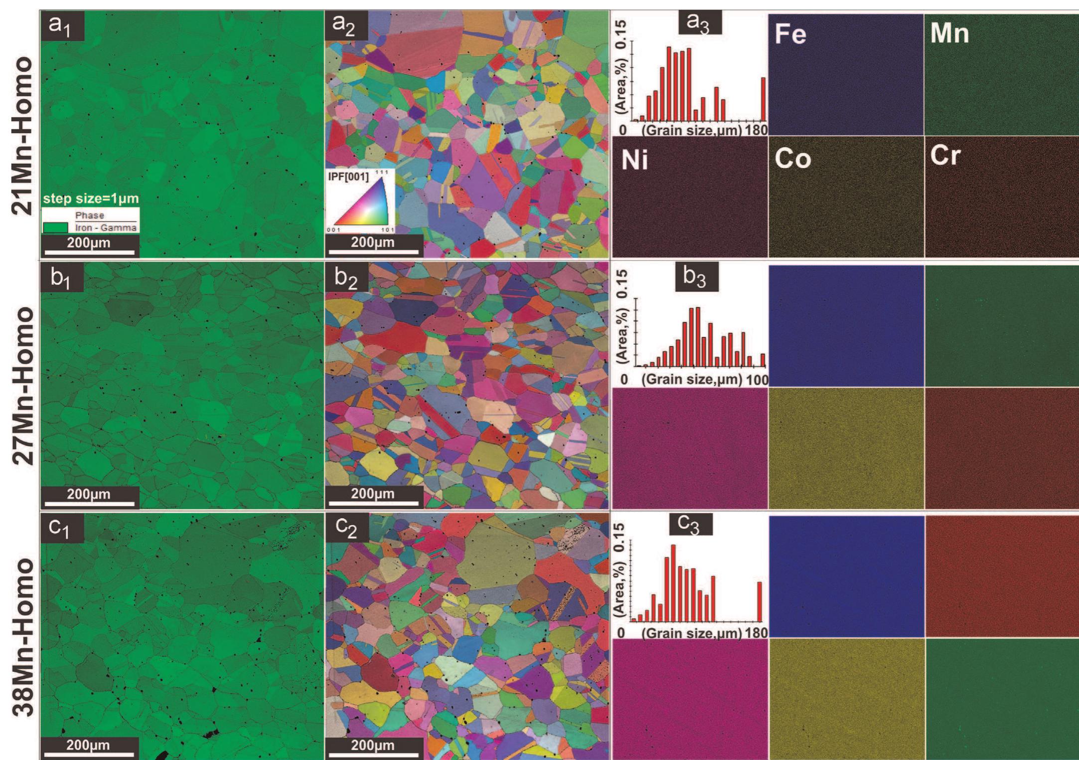 Ebsd phase maps of the homogenized state showing single fcc
