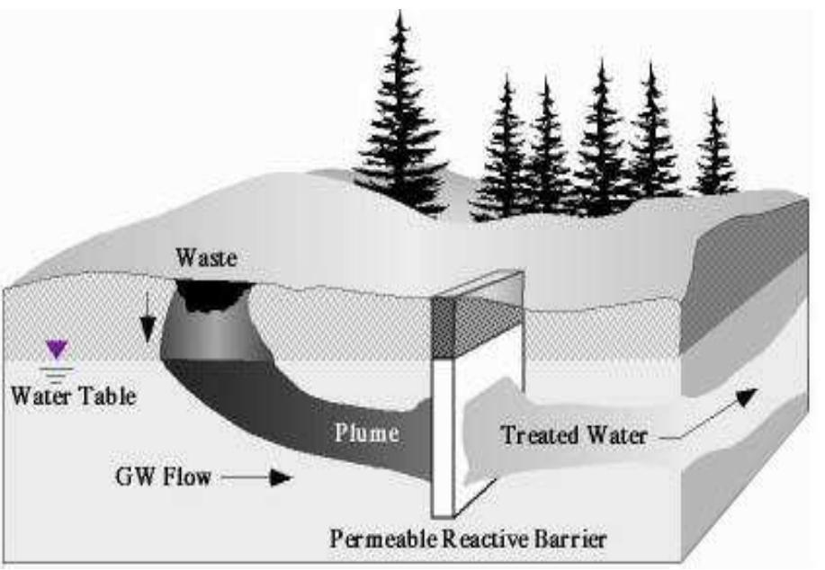 Figure 2 - Bioremediation of Acid Mine Drainage and a Case
