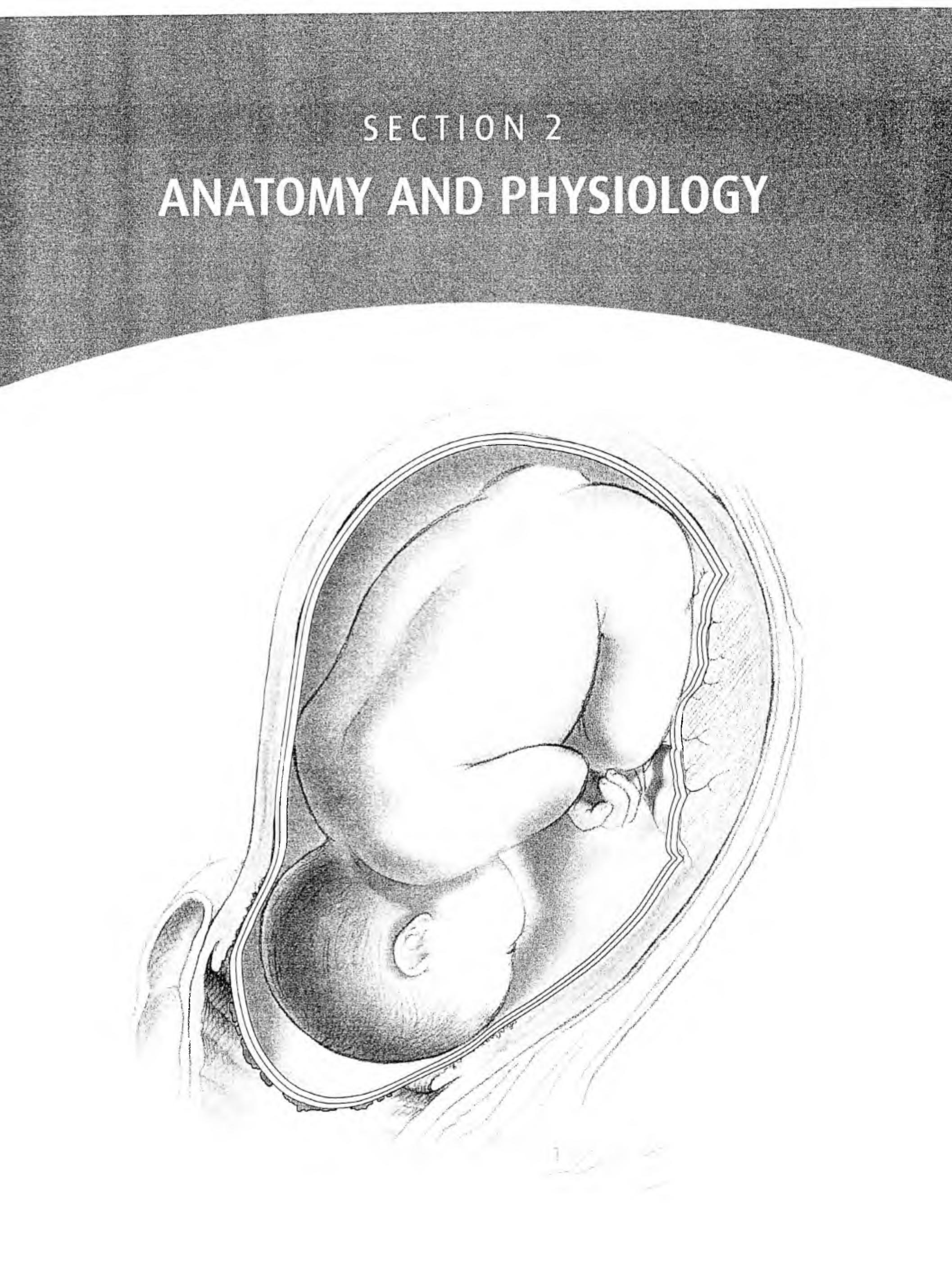 (PDF) [Alpha C. Chiang, Kevin Wainwright] Fundamental Methods of ...