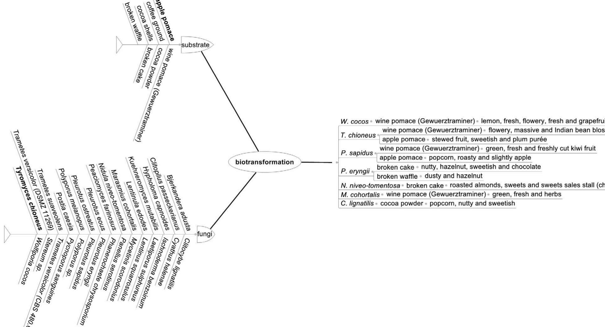 Flow chart of the screening of fungi and by-products for