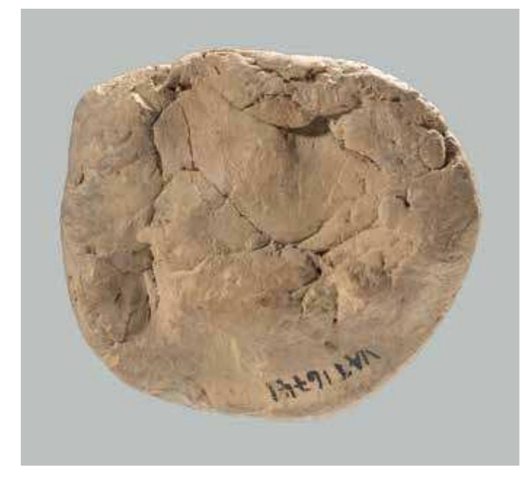 Third millennium. features of tablets incised with uruk iii