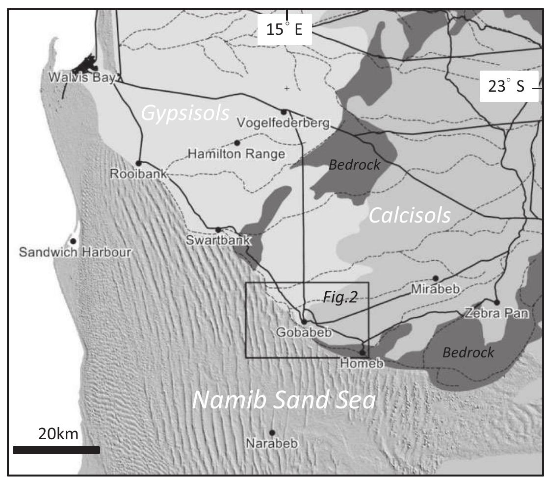 (PDF) THE SURFACE GEOLOGY AND GEOMORPHOLOGY AROUND GOBABEB, NAMIB ...