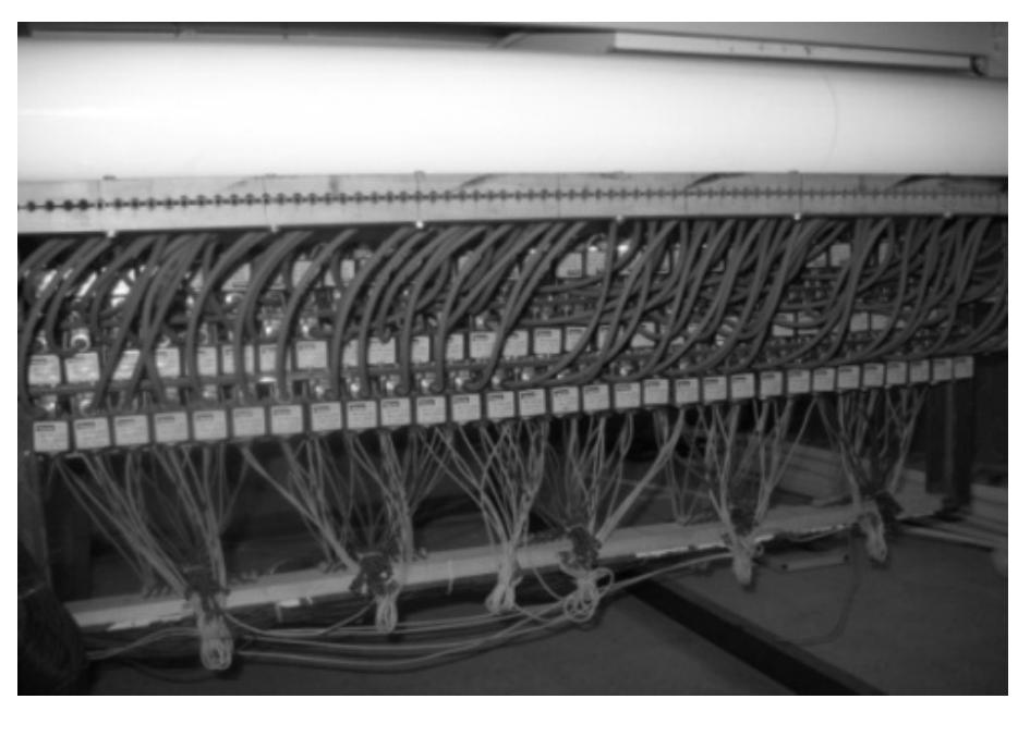 Figure 7 - Sorting Raisins by Machine Vision System