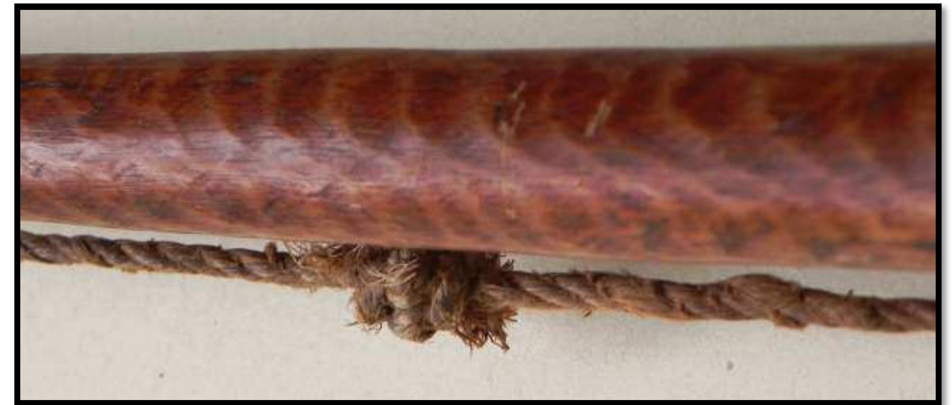 Plate 17 : repaired sinew string on a mongo bow (congo).