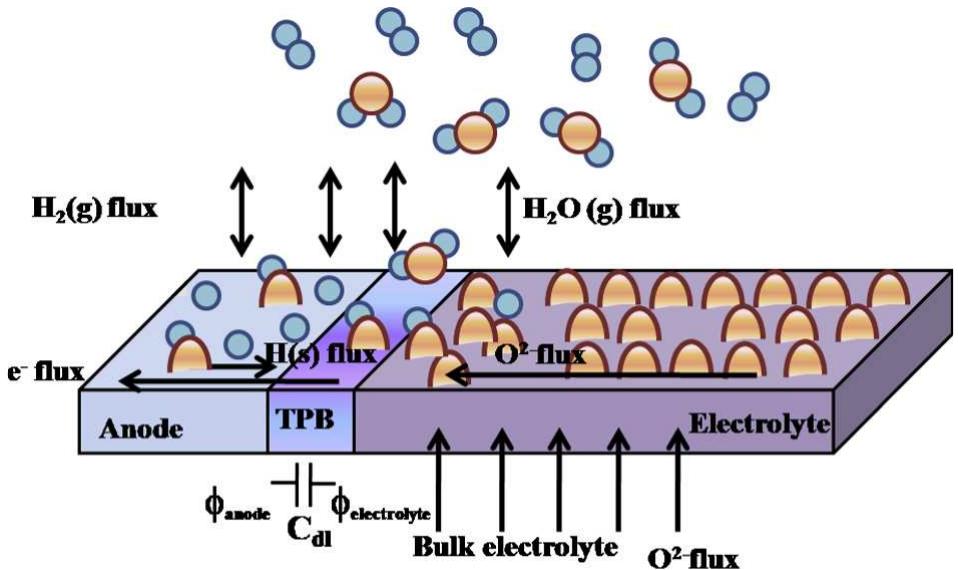 Schematic showing electrochemical oxidation of hz at an sofc