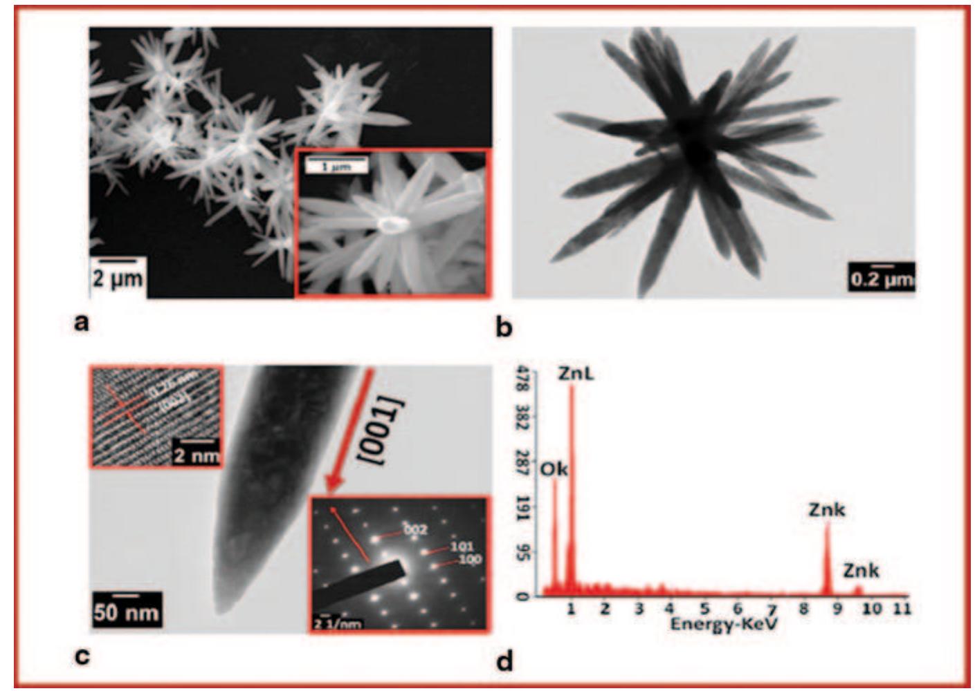 9 a fesem images of zno nanorods, tem micrographs of b an