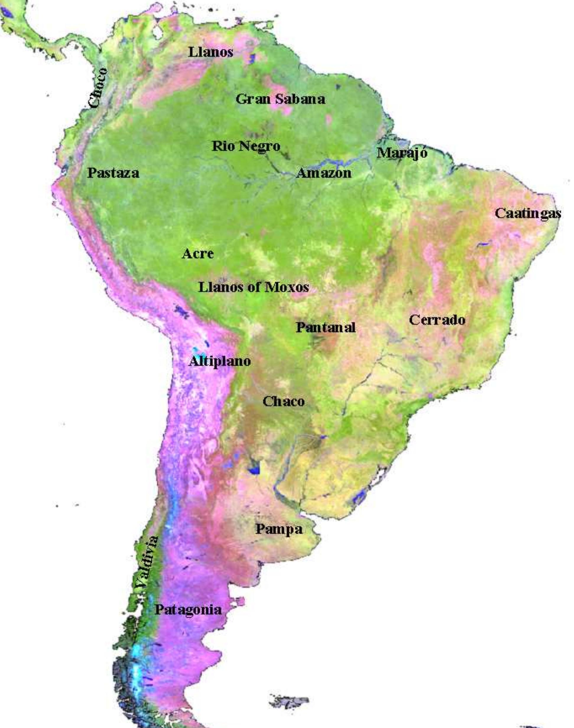 Figure 3 - Vegetation Map of South America