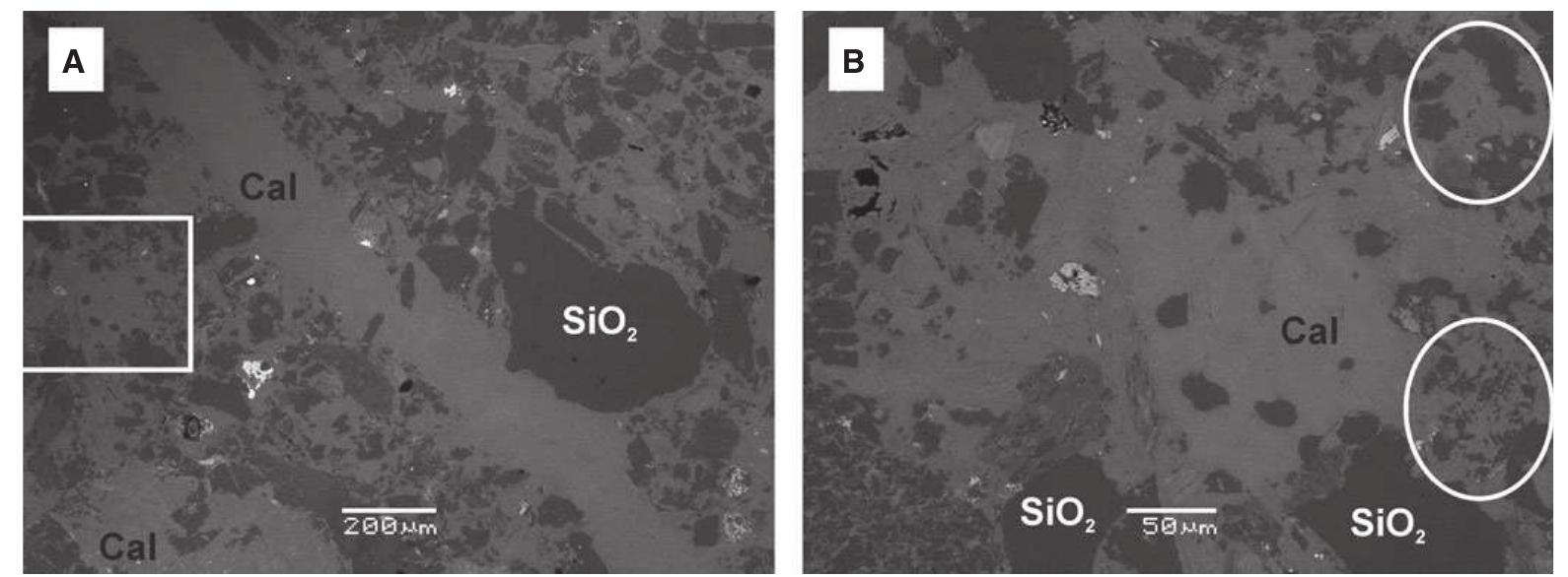 Scanning electron microscope images of type a concretions.
