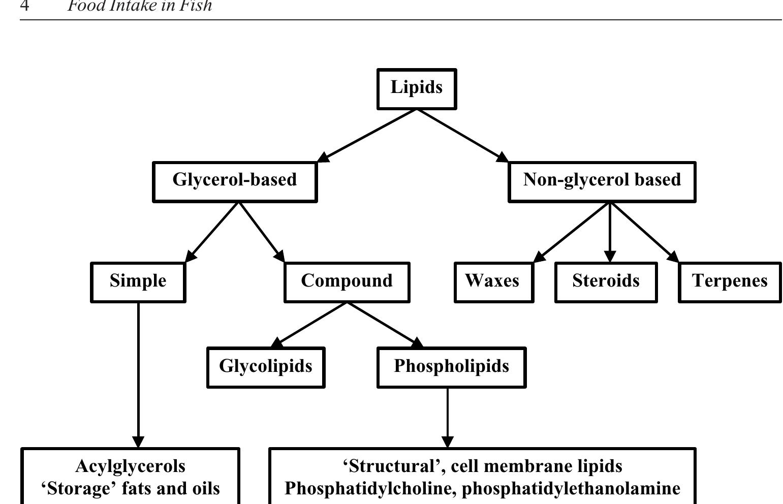 2 hierarchical diagram illustrating the classification of