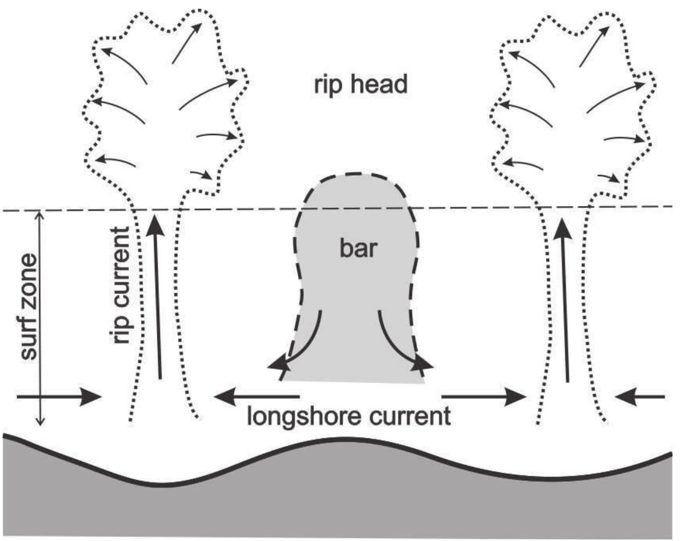 Schematic view of a littoral cell. cycle of water movement