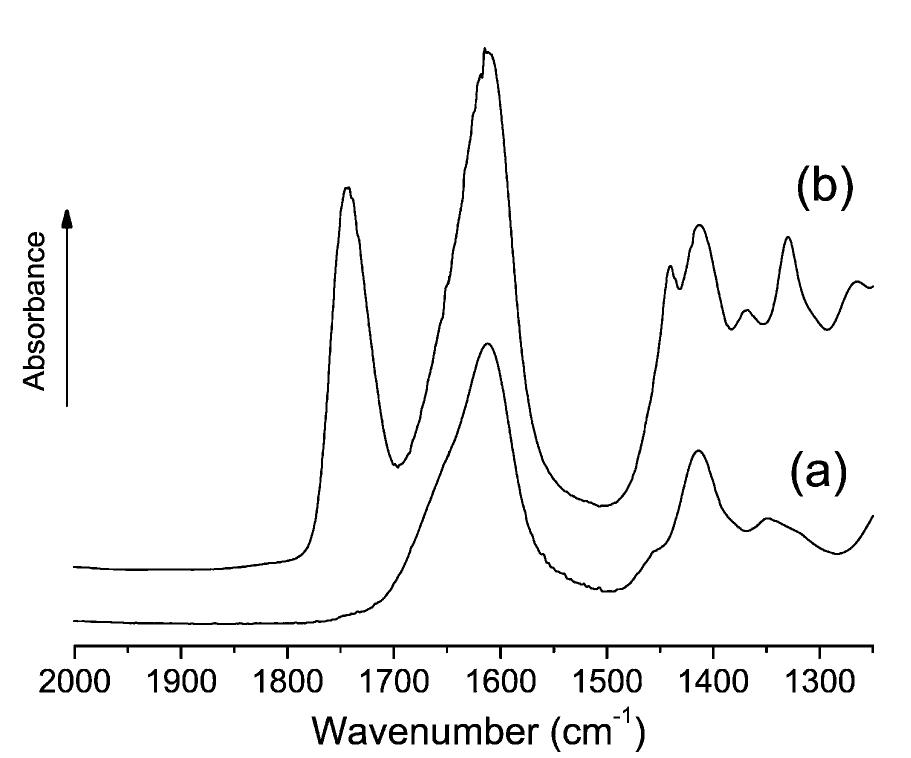Absorbance ftir spectra of films of: (a) linseed pectin and