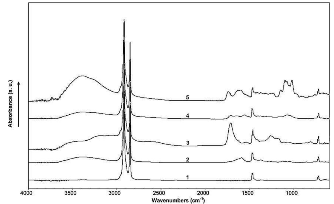 Ftir-atr spectra of ldpe samples: 1 - untreated, 2 - plasma