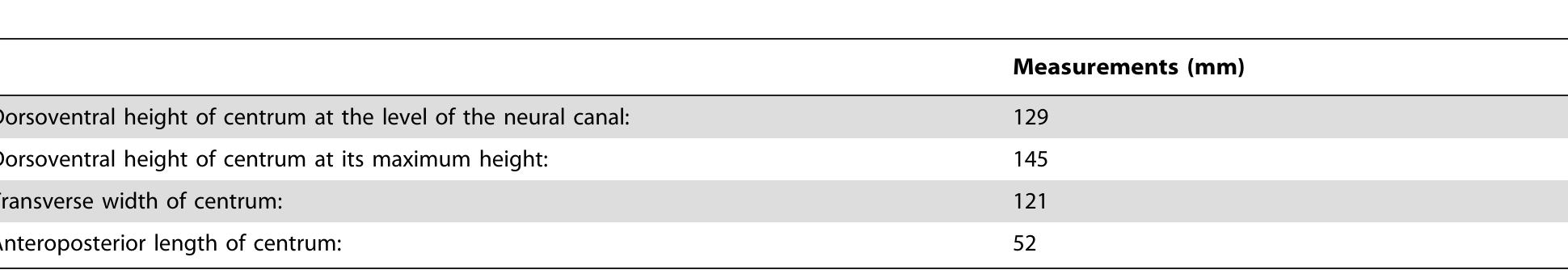 Measurements of proximal caudal vertebra of the holotype of