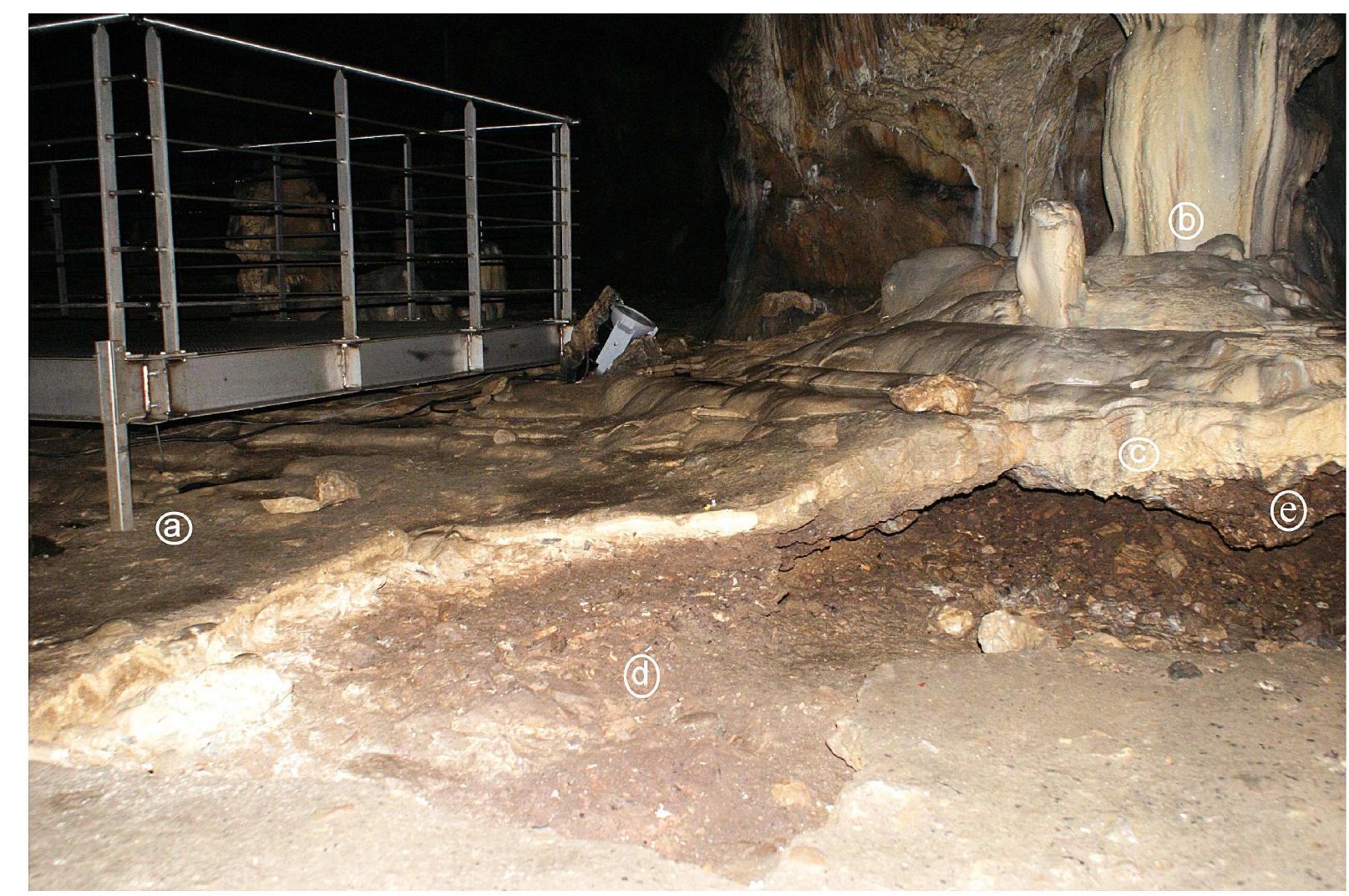 - gargas - gpa locus. the superficial water flows created